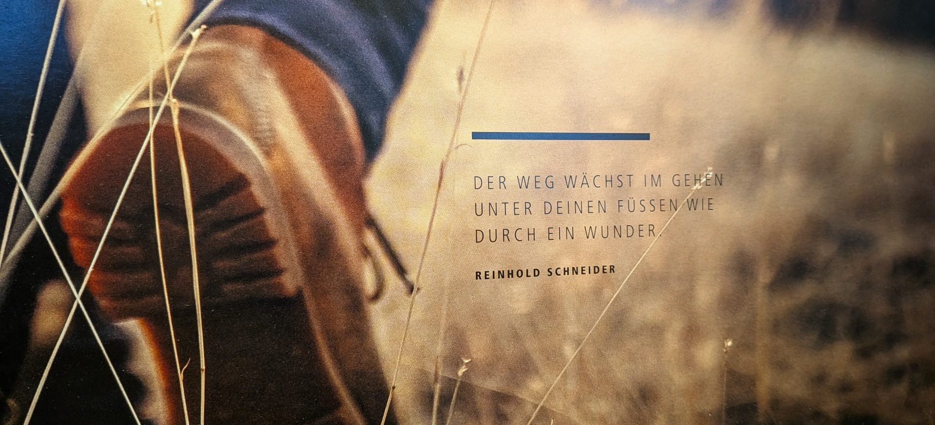 »Der Weg wächst im Gehen unter deinen Füßen wie durch ein Wunder ...